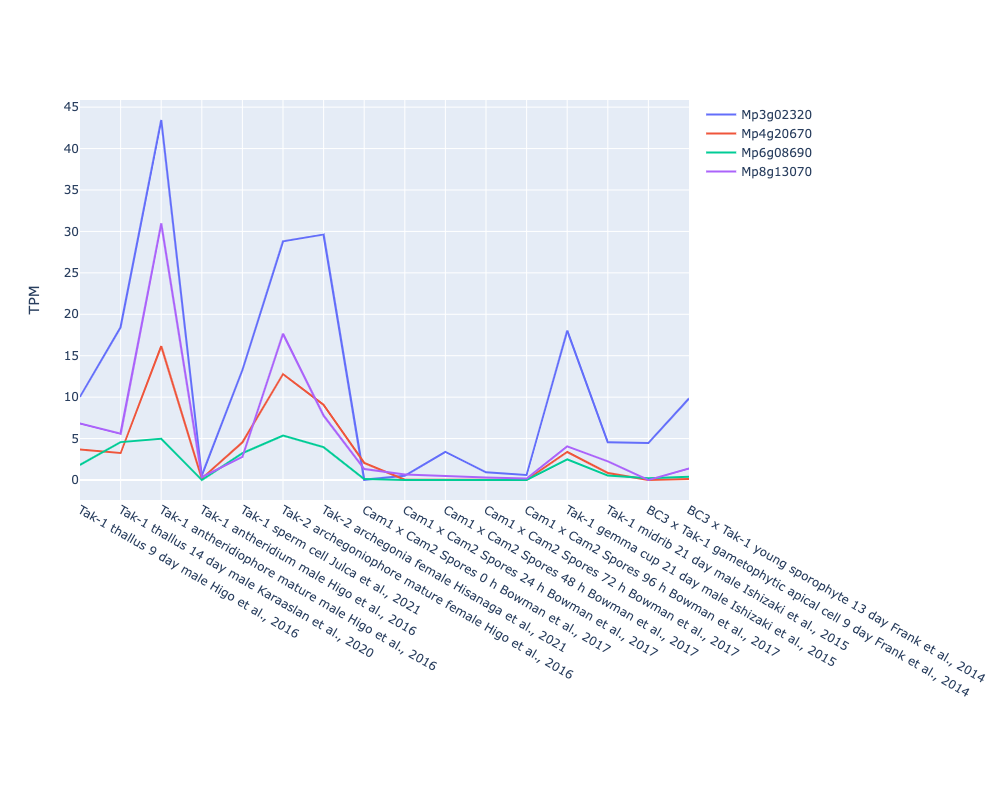 MarpolBase Expression