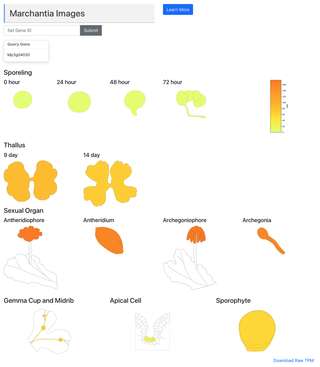 MarpolBase Expression